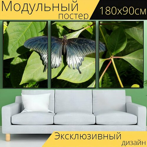 Модульный постер "Бабочка, крылья, листья" 180 x 90 см. для интерьера
