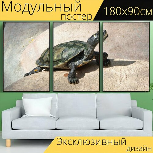 Модульный постер "Черепаха, рептилия, животное" 180 x 90 см. для интерьера