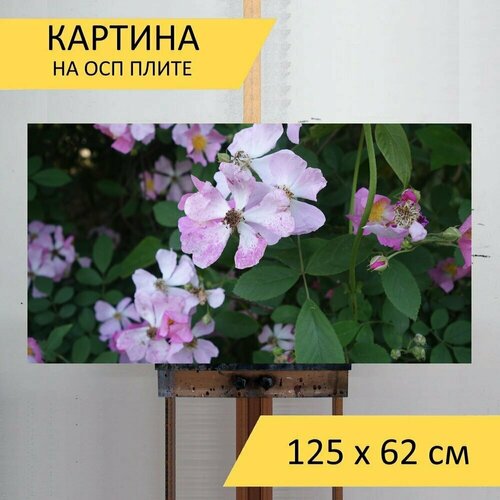 Картина на ОСП 125х62 см. "Цветы, в полном цветении, розовый" горизонтальная, для интерьера, с креплениями