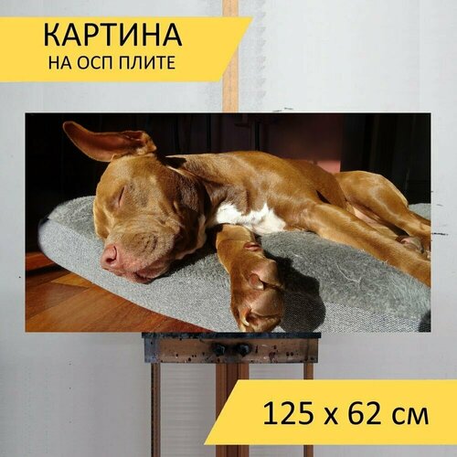 Картина на ОСП 125х62 см. "Собака, спать, домашний питомец" горизонтальная, для интерьера, с креплениями