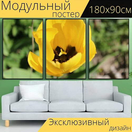 Модульный постер "Тюльпан, цвести, желтый" 180 x 90 см. для интерьера