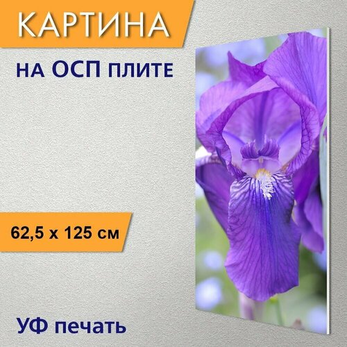 Вертикальная картина на ОСП "Меч лилия, цветок, цвести" 62x125 см. для интерьериа