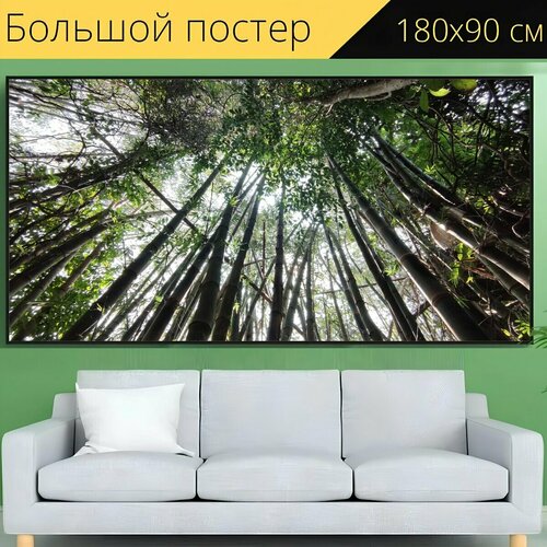 Большой постер "Бамбук, лес, навес" 180 x 90 см. для интерьера