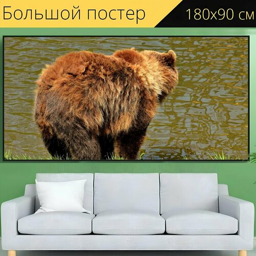 Большой постер "Европейский бурый медведь, бурый медведь, заповедник" 180 x 90 см. для интерьера