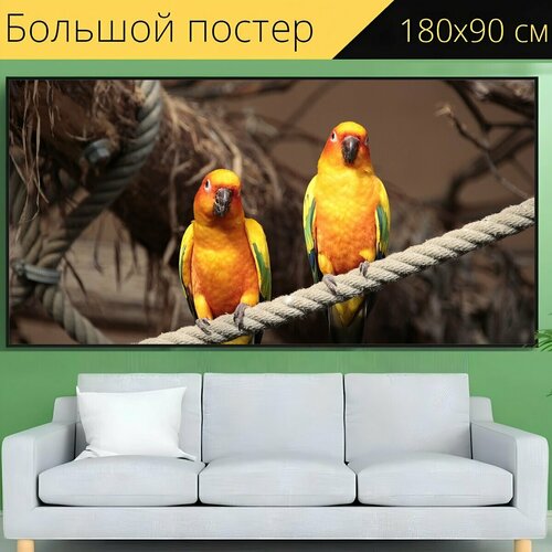 Большой постер "Солнечный попугай, животное, природа" 180 x 90 см. для интерьера
