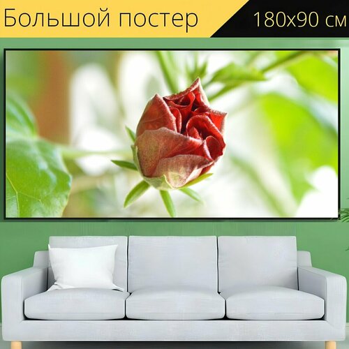 Большой постер "Китайская роза, цветок, роза" 180 x 90 см. для интерьера