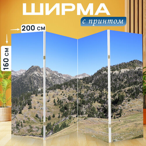 Ширма перегородка с принтом "Пиренеи, гора, пихта" на холсте - 200x160 см. для зонирования, раскладная