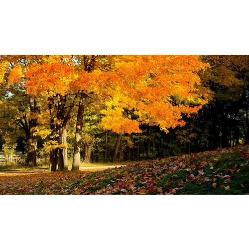 Картина на холсте 60x110 Альянс Лес "Autumn colors осень впереди" на подрамнике / интерьер/ декор