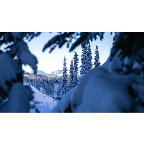 Картина на холсте 60x110 Альянс Лес "Елки деревья снег" на подрамнике / интерьер/ декор