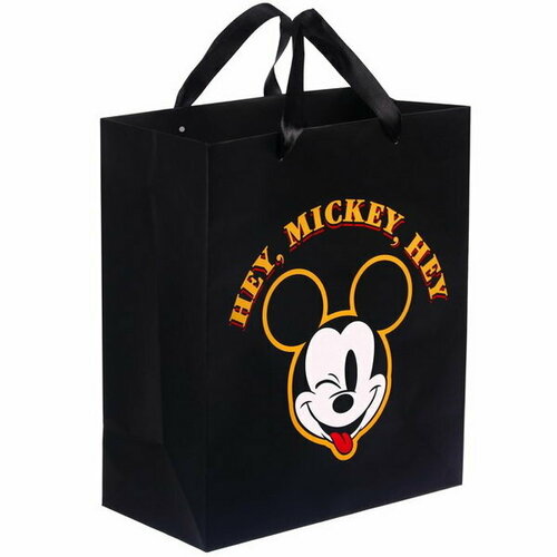 Пакет ламинированный вертикальный, 23 x 27 x 11 см "Hey Mickey Hey", Микки Маус