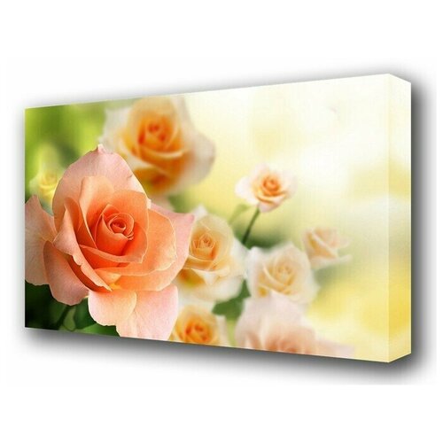 Картина на холсте Topposters "Аромат розы", 60*100 см