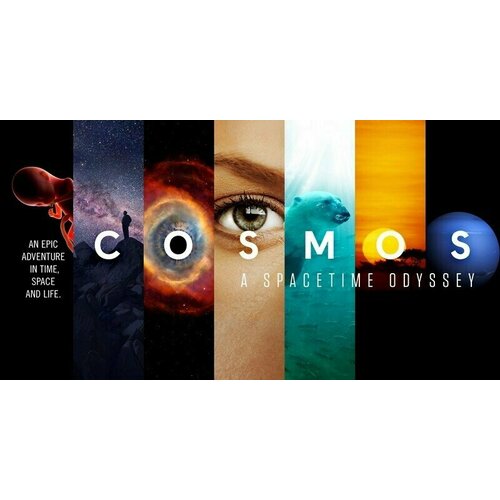 Плакат, постер на бумаге Космос: Пространство и время (Cosmos A Spacetime Odyssey), Брэннон Брага, Энн Драйэн, Билл Поуп. Размер 30 х 42 см