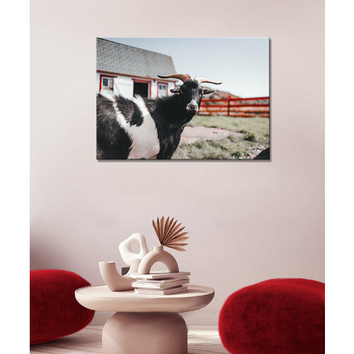 Картина -Коза, пятнистая коза, козел, пятнистый козел (9) 60х80