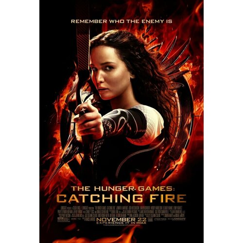 Плакат, постер на холсте Голодные игры: И вспыхнет пламя (The Hunger Games: Catching Fire, 2013г). Размер 30 х 42 см
