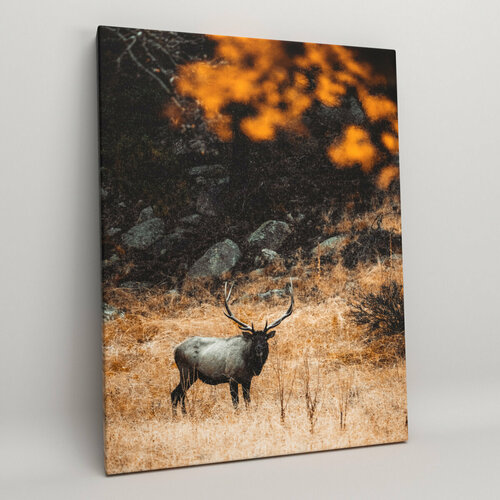 Картина на холсте (интерьерный постер) "Олень Вапити" животные, с деревянным подрамником, размер 30x40 см