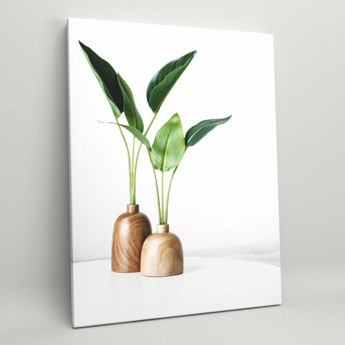 Картина на холсте (интерьерный постер) "Зеленые растения в кашпо" в скандинавском стиле, с деревянным подрамником, размер 45x60 см