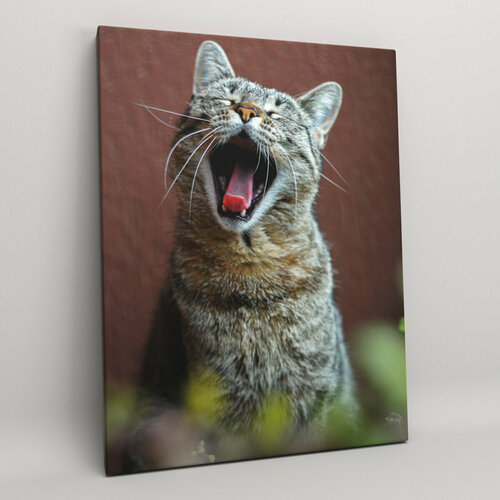 Картина на холсте (интерьерный постер) "Полосатый кот зевает", с деревянным подрамником, размер 45x60 см