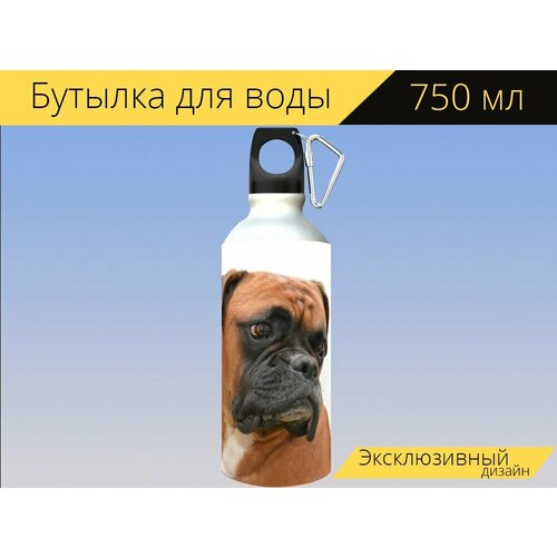 Бутылка фляга для воды "Боксер, собака, домашнее животное" 750 мл. с карабином и принтом
