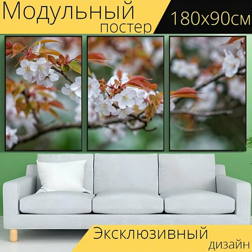 Модульный постер "Цветы, дикая вишня, апреля" 180 x 90 см. для интерьера