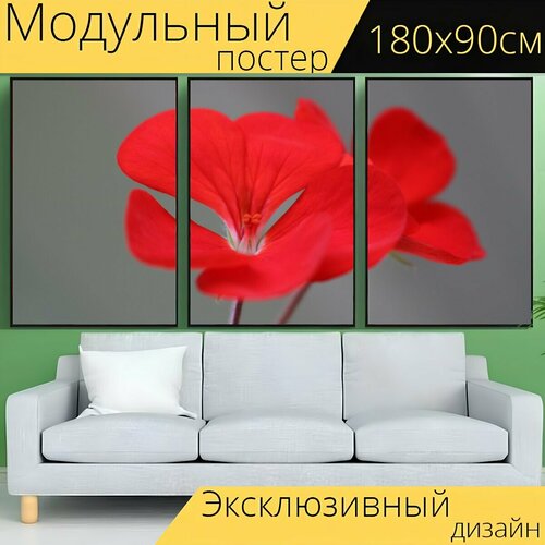 Модульный постер "Флора, цветок, герань" 180 x 90 см. для интерьера