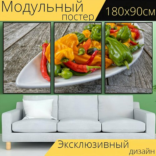 Модульный постер "Чили, перец, овощи" 180 x 90 см. для интерьера