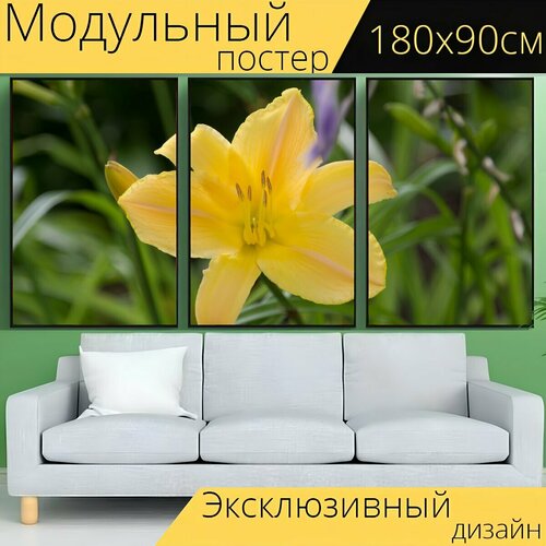 Модульный постер "Желтый лилейник, желтые цветы, весна" 180 x 90 см. для интерьера