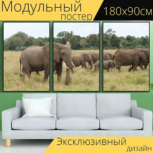Модульный постер "Слоны, животные, луг" 180 x 90 см. для интерьера