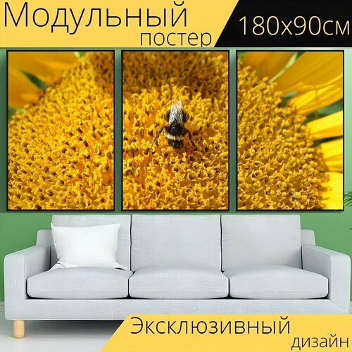 Модульный постер "Подсолнечник, пчела, шмель" 180 x 90 см. для интерьера