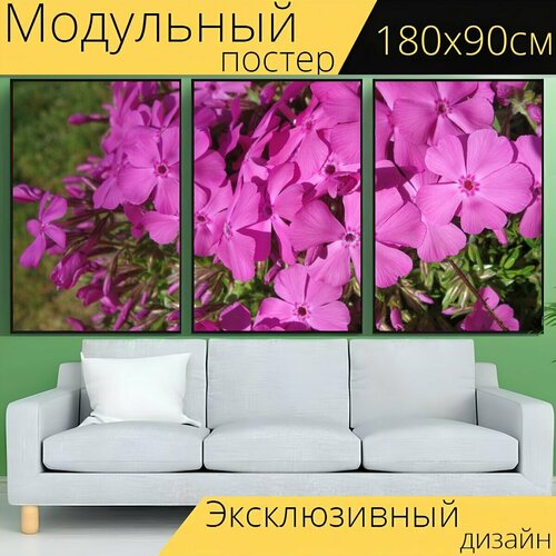 Модульный постер "Расцветает, весна, розовый" 180 x 90 см. для интерьера