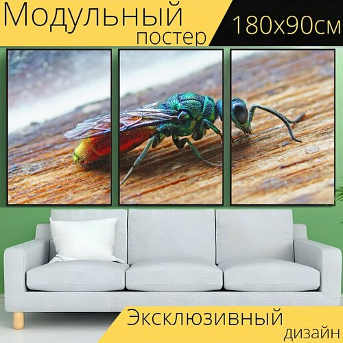 Модульный постер "Природа, насекомое, жук" 180 x 90 см. для интерьера