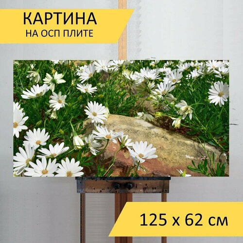 Картина на ОСП 125х62 см. "Ромашки, цветы, белые цветки" горизонтальная, для интерьера, с креплениями