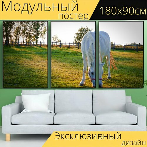 Модульный постер "Животные, лошадь, лошади" 180 x 90 см. для интерьера