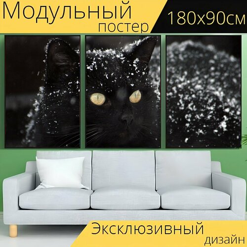 Модульный постер "Кот, черный кот, снег" 180 x 90 см. для интерьера