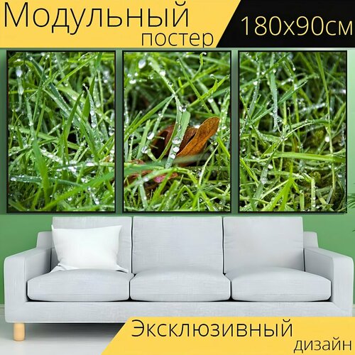 Модульный постер "Трава, капли дождя, зеленый" 180 x 90 см. для интерьера