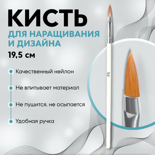 Кисть для наращивания и дизайна ногтей, лепесток, 19,5 см, d - 5 × 18 мм, в пластиковом футляре, цвет белый (1шт.)