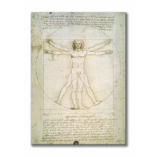 Картина для интерьера на холсте Леонардо да Винчи «Витрувианский человек» 50х70, холст натянут на подрамник