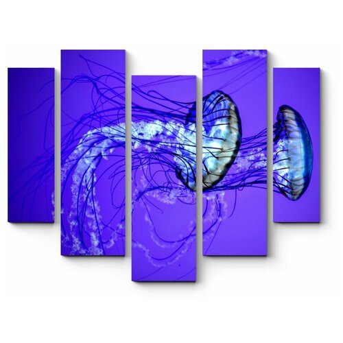 Модульная картина Пара изящных медуз121x98