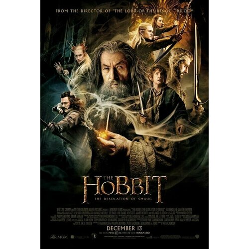 Плакат, постер на бумаге Хоббит: Пустошь Смауга (The Hobbit The Desolation of Smaug), Питер Джексон. Размер 30 х 42 см