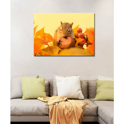 Картина - Бурундук, бурундучок, полосатый бурундук с орехом, бурундук и осень (55) 30х40