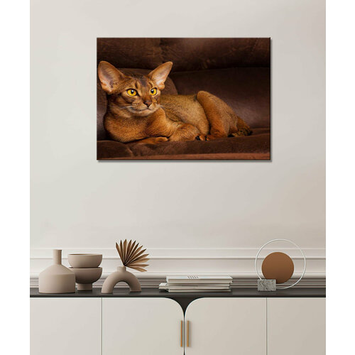 Картина - кошка, абиссинская кошка, древняя кошка, домашняя кошка, ласковая кошка, кот (168) 30х40