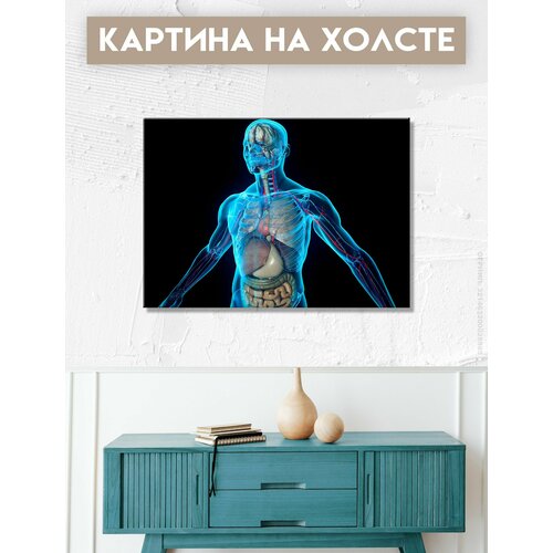 Картина на холсте для интерьера - медицинская, внутренние органы человека 20х30 см