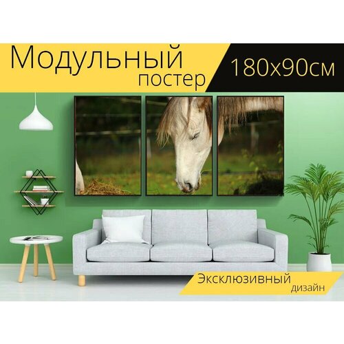 Модульный постер "Лошадь, плесень, лошадиная голова" 180 x 90 см. для интерьера