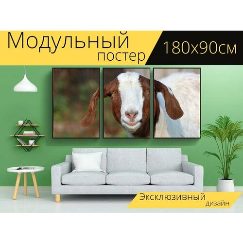 Модульный постер "Козел, бурская коза, жвачных животных" 180 x 90 см. для интерьера