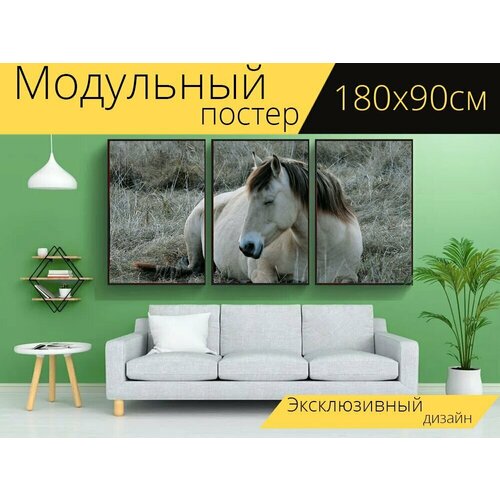 Модульный постер "Лошади, лошадь, кобыла" 180 x 90 см. для интерьера
