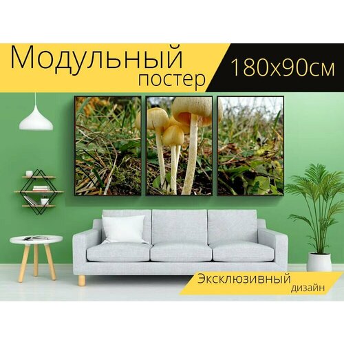 Модульный постер "Грибы, гриб, лес" 180 x 90 см. для интерьера