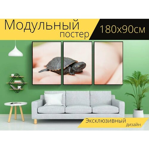 Модульный постер "Черепашка, черепаха, ладони" 180 x 90 см. для интерьера
