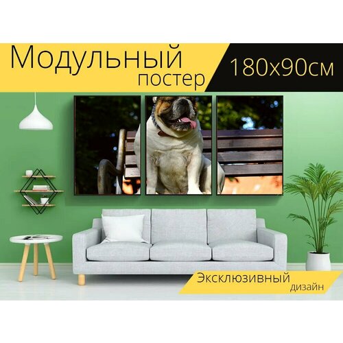 Модульный постер "Английский бульдог, собака, природа" 180 x 90 см. для интерьера