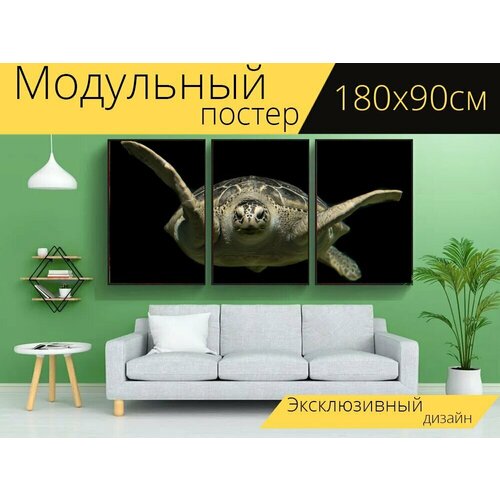 Модульный постер "Черепаха, зеленый, море" 180 x 90 см. для интерьера