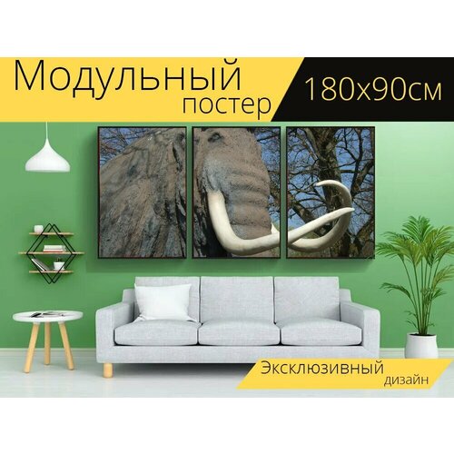 Модульный постер "Мамонт, животное, бивни" 180 x 90 см. для интерьера