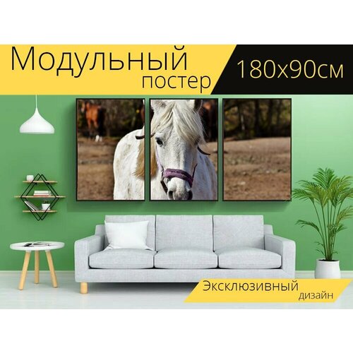 Модульный постер "Лошадь, жеребец, лошадиная голова" 180 x 90 см. для интерьера